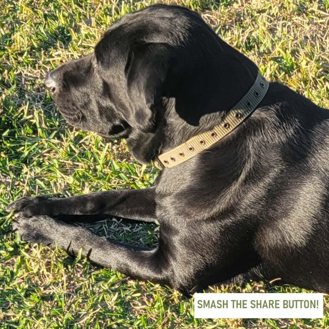 M1-K9 Garisson Collar, OD Green. Adj. 12"-19" or 16"-26" – M1-K9 Collars